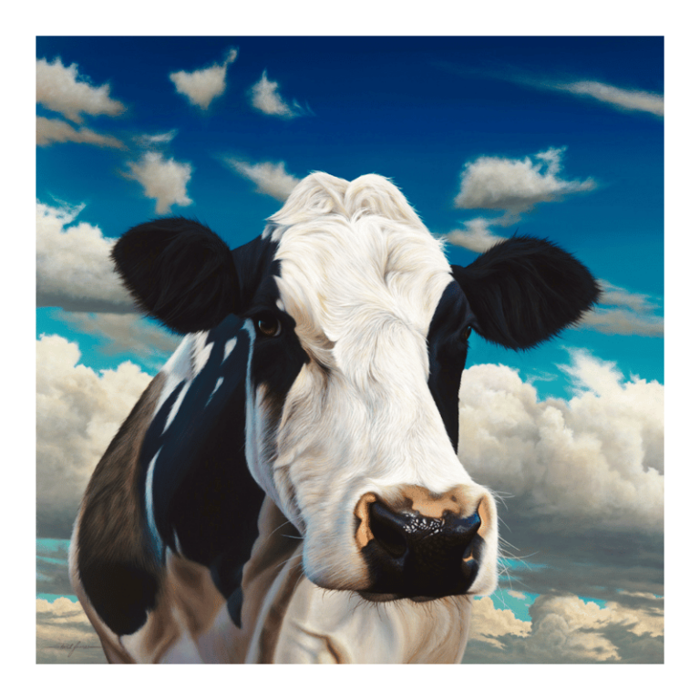 Shop | Paul James Gallery